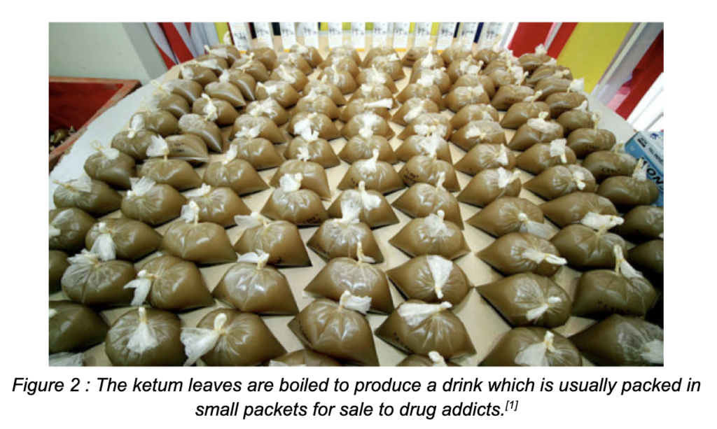 Ketum: Medicinal Friend or Foe? | CARiNG Pharmacy