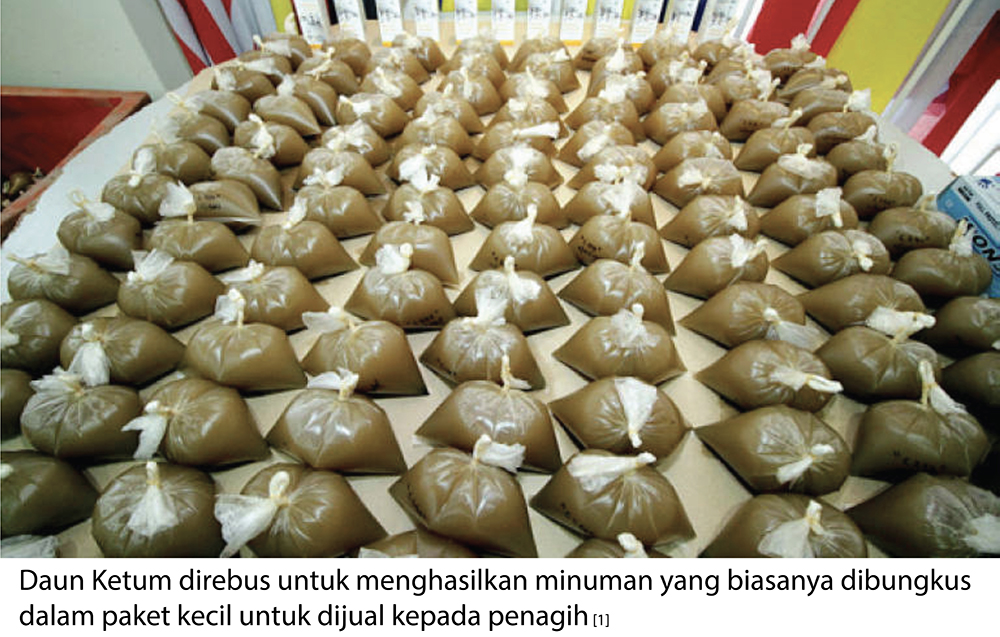 Ketum: Kawan atau Musuh? | CARiNG Pharmacy